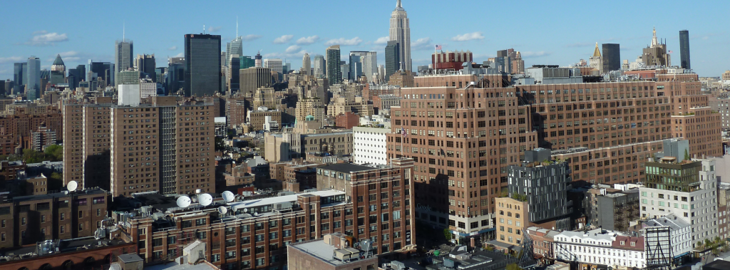 About - Terrapin Bright Green