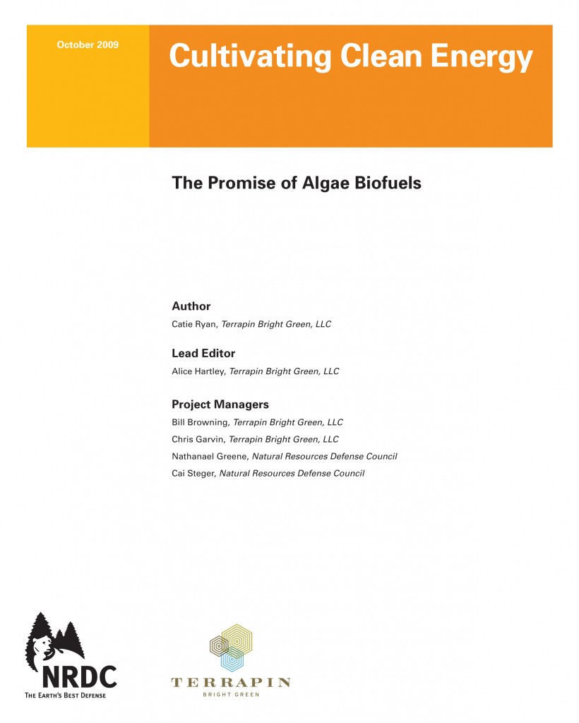 Cultivating Clean Energy - Terrapin Bright Green