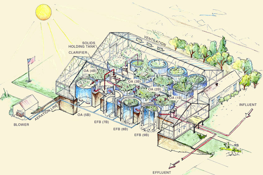 35.1_John-Todd-Ecological-Design - Terrapin Bright Green