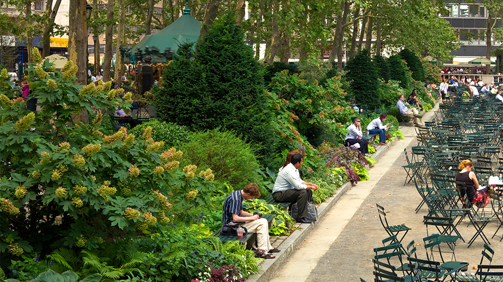 Biophilic Urban Acupuncture: The Importance of Biophilia in Urban Places