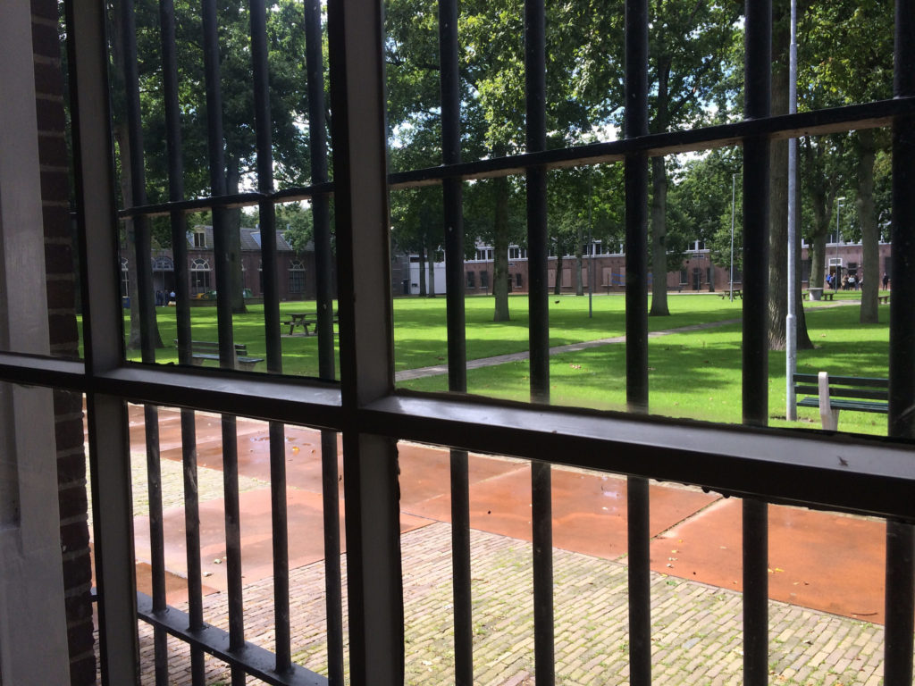 Prison, Nature and Social Structure - Terrapin Bright Green