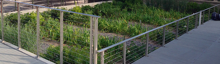 feature-gowanus-sponge-park - Terrapin Bright Green