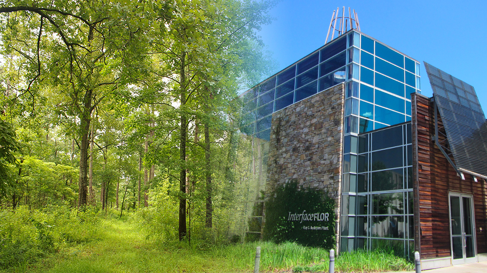 Faaf_header - Terrapin Bright Green