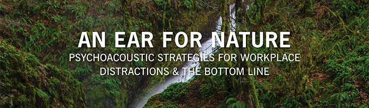 Terrapin Releases An Ear for Nature - Terrapin Bright Green