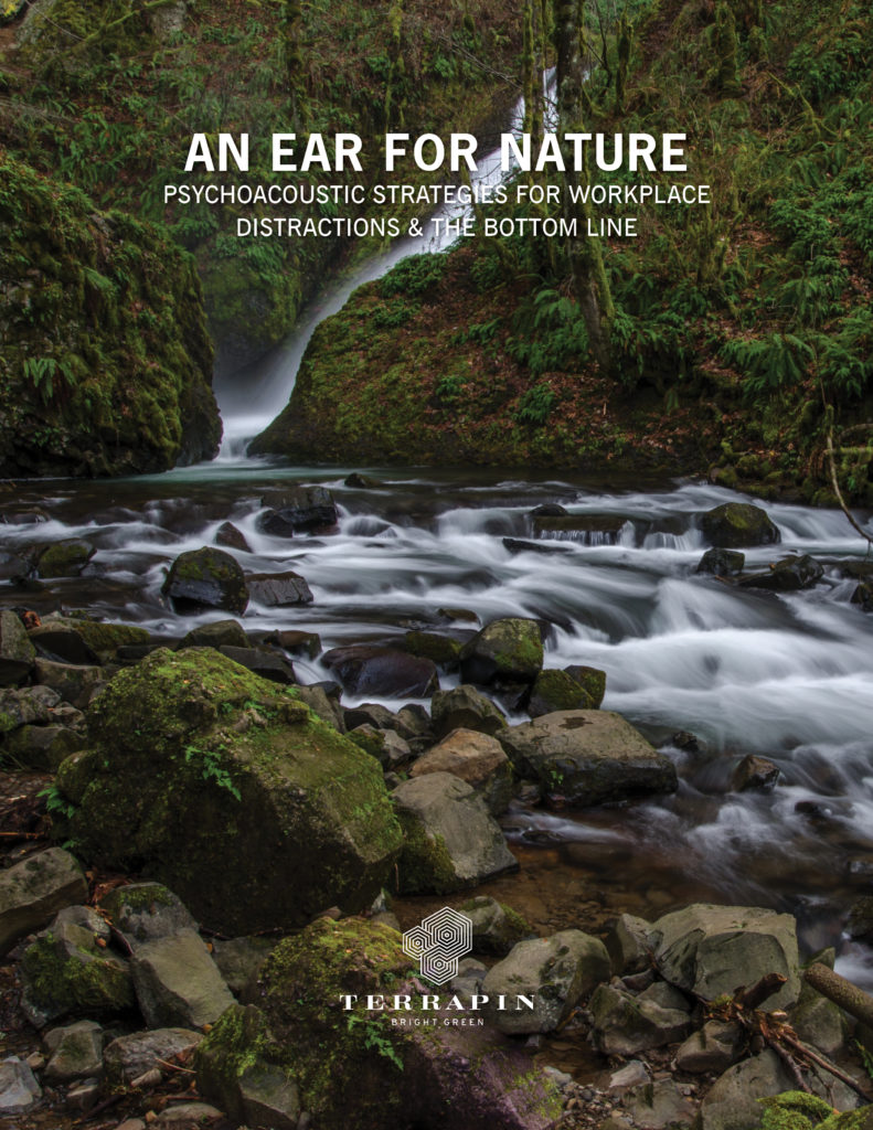 An Ear for Nature - Terrapin Bright Green