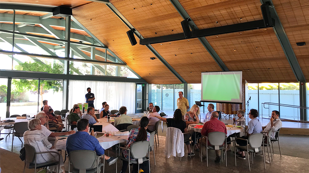 Workshop Header Image - Terrapin Bright Green