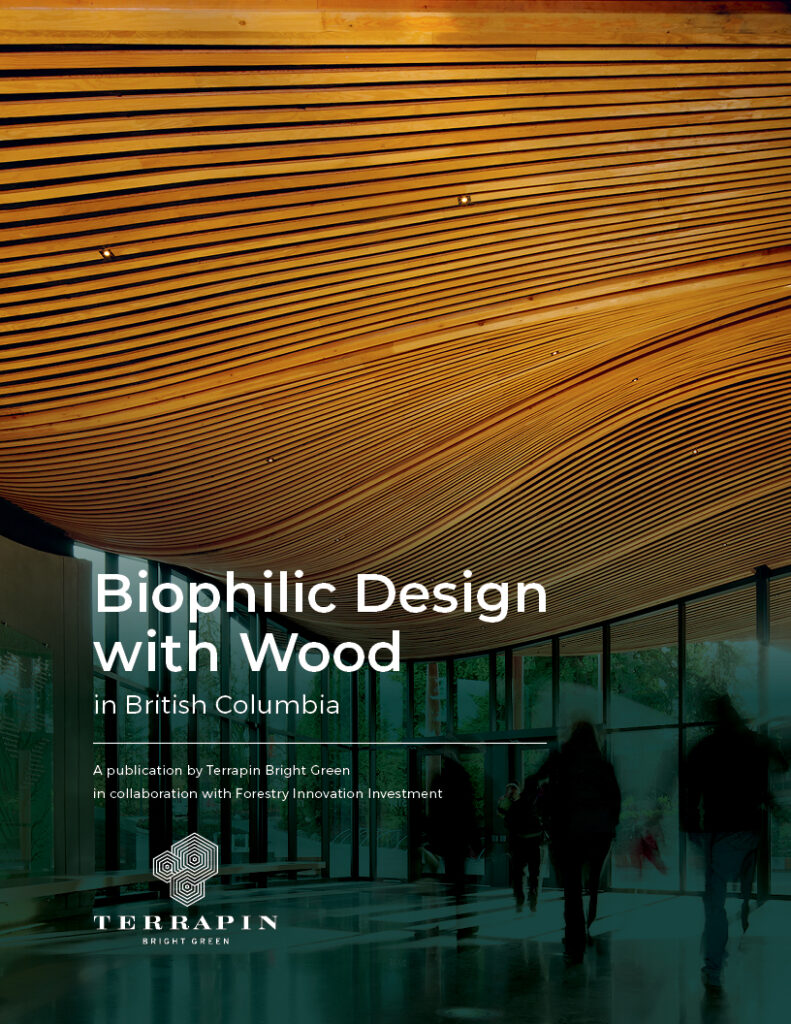 Rediscovering a Legacy through the Lens of Biophilia - Terrapin Bright ...