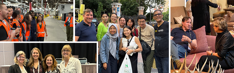 Events banner-2 - Terrapin Bright Green