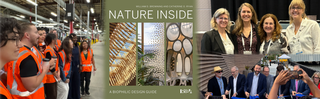 Looking Back to Go Forward - Terrapin Bright Green